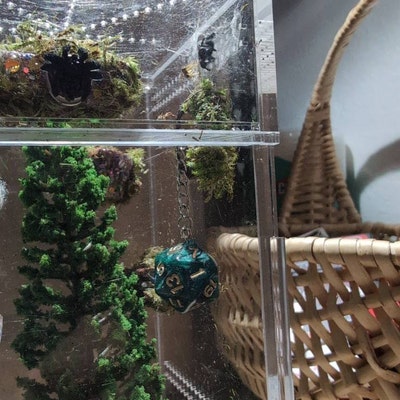 Spider Stuff Bioactive Enclosure Large 4x 4 X 8, Spider Enclosure ...