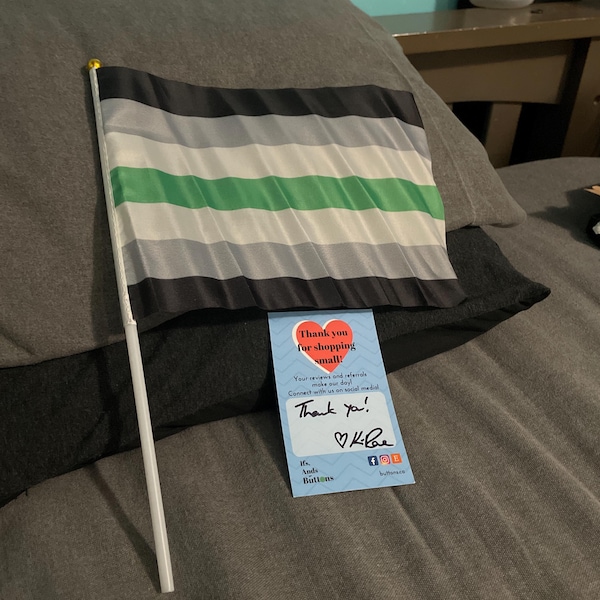 DIGITAL FILE: Printable Extended Pride Flag Reference Guide - Includes ...