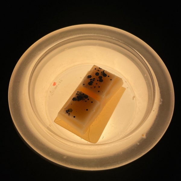 WAX MELT: Salt Water Mermaid, Scented Wax Snap Bar for Warmer, Feminine ...