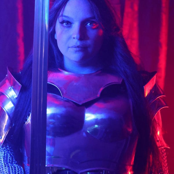 22 Inch Medieval Loin King Face Shield/battleworn Lion Shield/premium ...