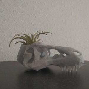 T-bone the T-rex Skull Planter With Plants THE ORIGINAL Nontoxic ...