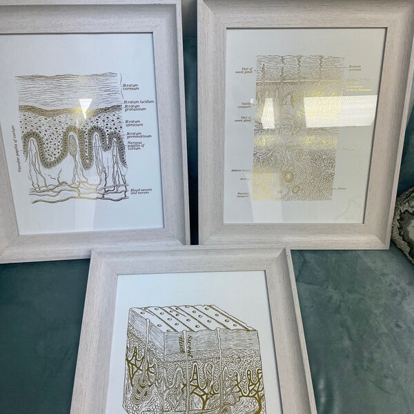 Dermatologist Gift - Dermatology Print - Epidermis Art - Esthetician ...