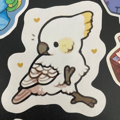 Dancing Birds Sticker Set Pack: Cockatiel, Budgie, Lovebird / Cute Bird ...