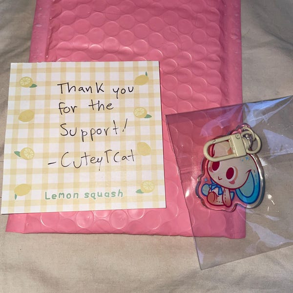 Sonic, Tails, Amy and Cream Chao Plush Acrylic Charm / Keychain - Etsy