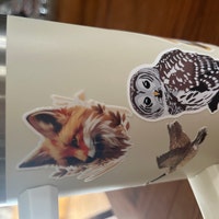 Red Tailed Hawk Sticker, Bird Sticker, Birdwatching Sticker, Birding ...