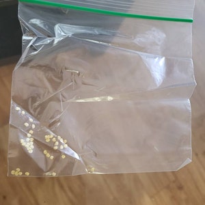 50 African Basil, Effrin, Daidoya Seeds - Etsy