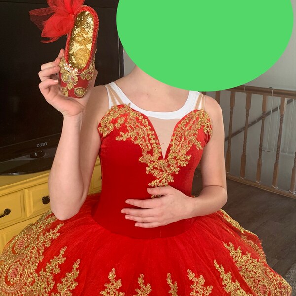 Decorated Pointe Shoes: Custom Costume Inspired Ballet Pointe Shoe ...