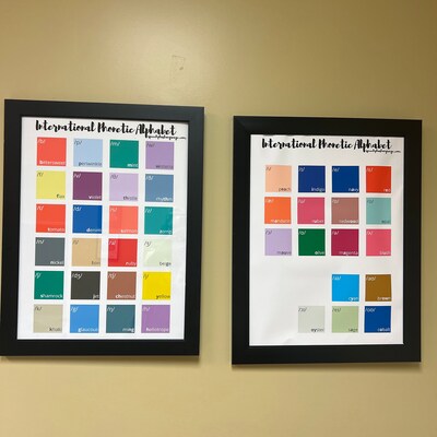 Anatomy & Physiology SLP Labeled Posters Set of 3 Speechie Educational ...