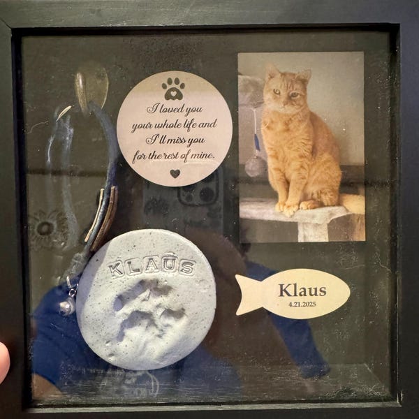 Personalized Cat Memorial Keepsake Shadow Box, Pet Name Sign With ...