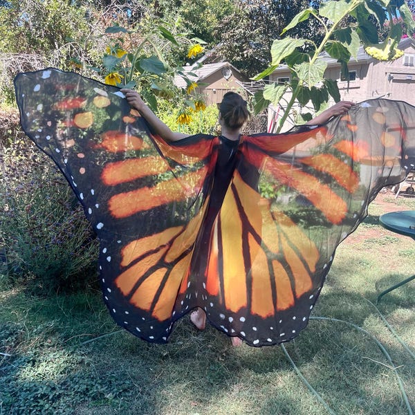 Butterfly Wings Monarch Cape Costume Adult Fairy Wings Chiffon Belly ...