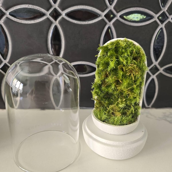 Cryomoss Live Moss Terrarium: the Time Capsule (S) - Mini Ecosystem ...