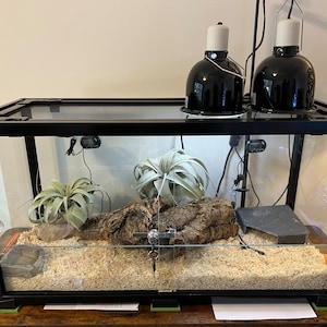 ABG Mix 1 Gallon - Etsy