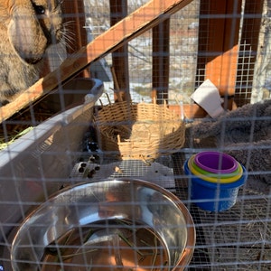 Bunny Snuffle Mat & Homemade Treats for Rabbit Foraging Mat - Etsy