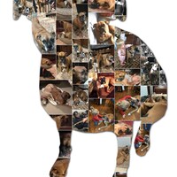 Shooting Star Castle Photo Collage Wall Art Home Decor Digital ...