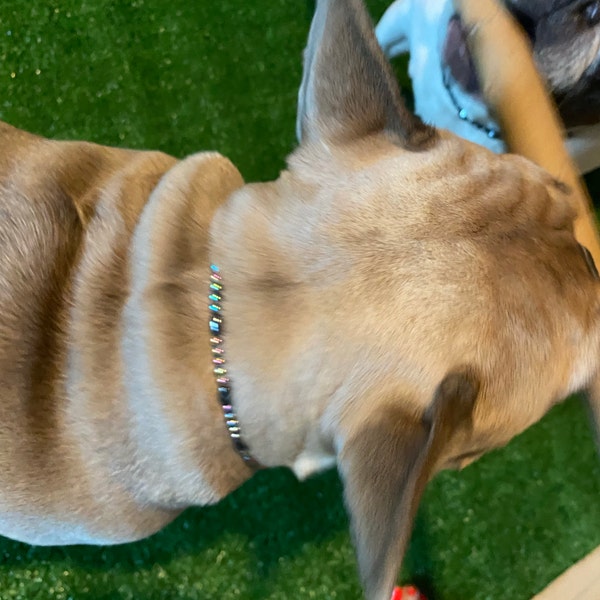 Large PET Magnetic Collar Therapy Hematite and Copper High Strength ...