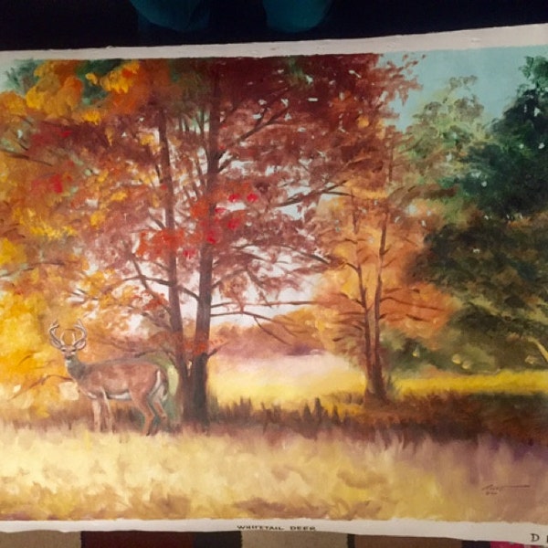 BALD EAGLE Flying, Mountains. Oils on 24" X 36" (61 X 91 Cm) Canvas ...