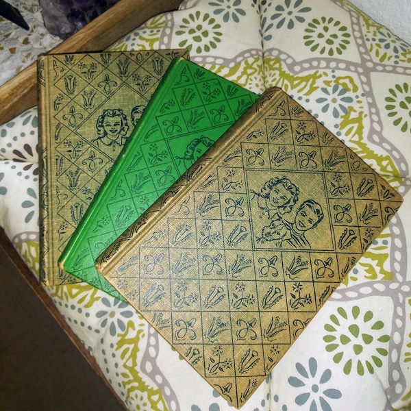 Black Beauty King of the Wind Horse and Pony Stories - Lot of 3 - Etsy