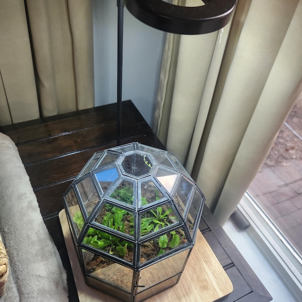 Geometric Terrarium Prism Desktop Mossarium Centrepiece Preserved Moss ...