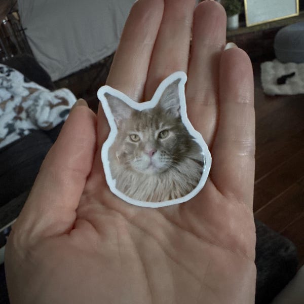 Custom Cartoon Sticker From Photo, Personalized Sticker Gift, Cartoon ...