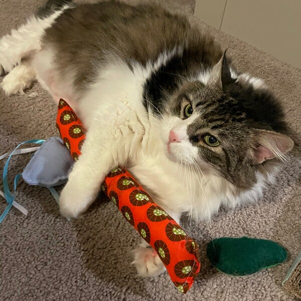 NEW PATTERNS: Kicker Toys - Organic Catnip - Etsy