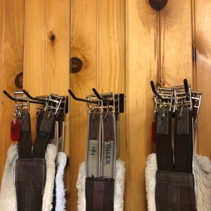 Vertical Belt Buckle Display 3-10 Buckles - Etsy