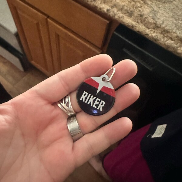 Sci Fi Dog Tag, Custom Dog Tag, Personalized Dog ID, Boldly Go, Star ...