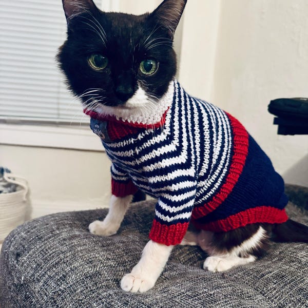 Sphynx Cat Sweater and Hat Set Hand Knit Cat Jumpsuit Hairless Cat Jumper and Beanie Set Cat ...