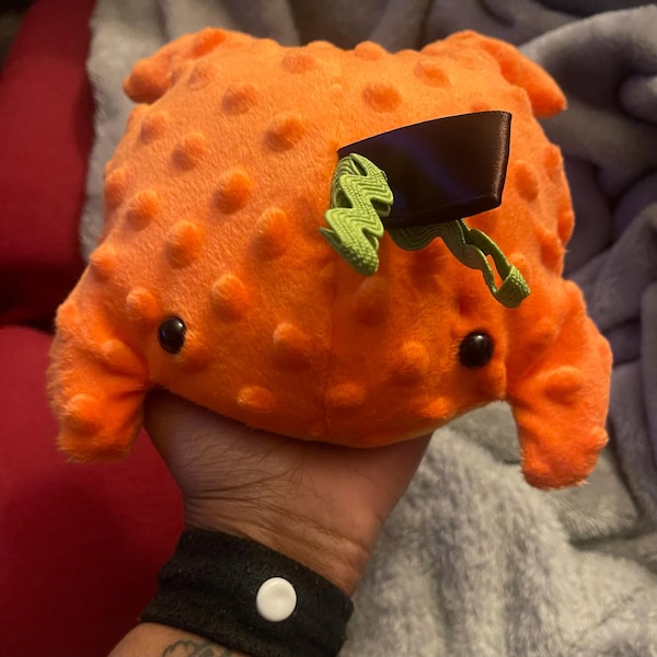 PETEY the Pumpkin Toad~ Bean Bag Frog Plushie: Weighted Sensory Fidget ...