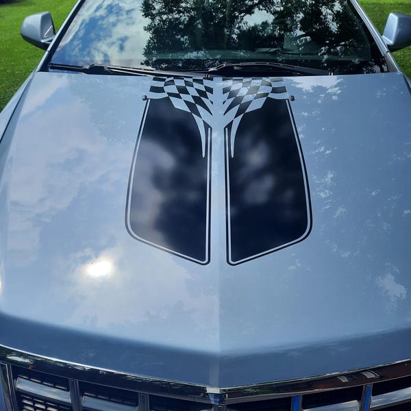 Clausen's World - Cobra Vinyl Decal 20" X 35.75" Racing Stripes ...