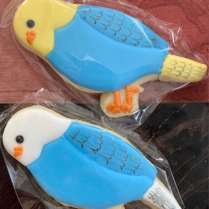 Parakeet Cookies, Bird Cookies - Etsy