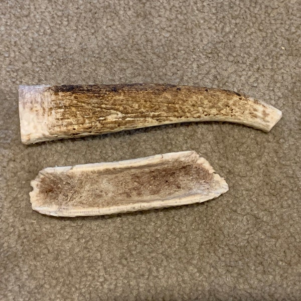Medium Split Elk Antler Dog Bone Made in USA Natural Dog Chew - Etsy
