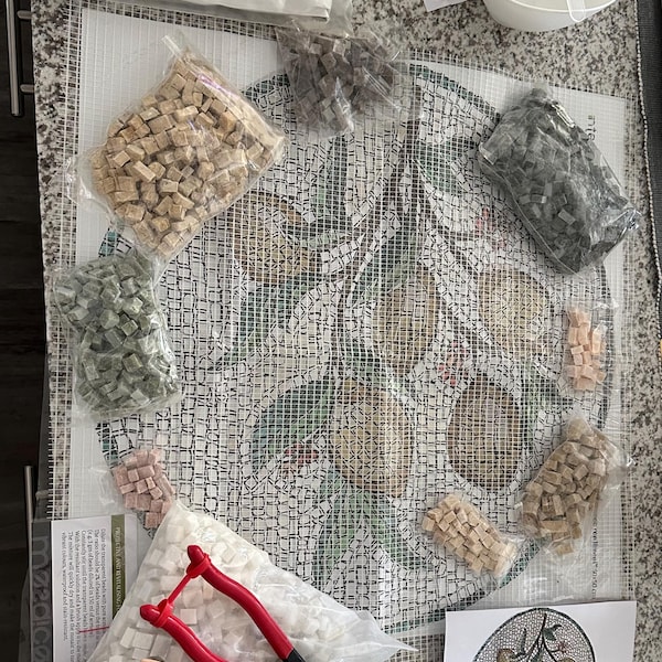 Mosaic Kit for Adults + Tutorial, Copy Roman Mosaic - Etsy