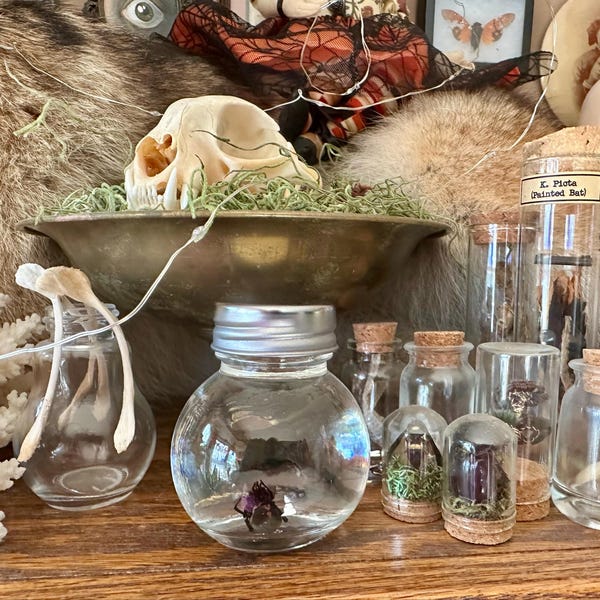 Voodoo Good Luck Shake Jars - Etsy