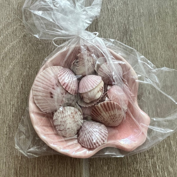 White Seashell Mix, Wedding Decor, Beach Decor, Home Decor, Vase Filler ...
