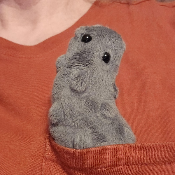 Pocket Pickle Sensory Comfort, Emotional Support Pickle Pet, Autism Toy ...