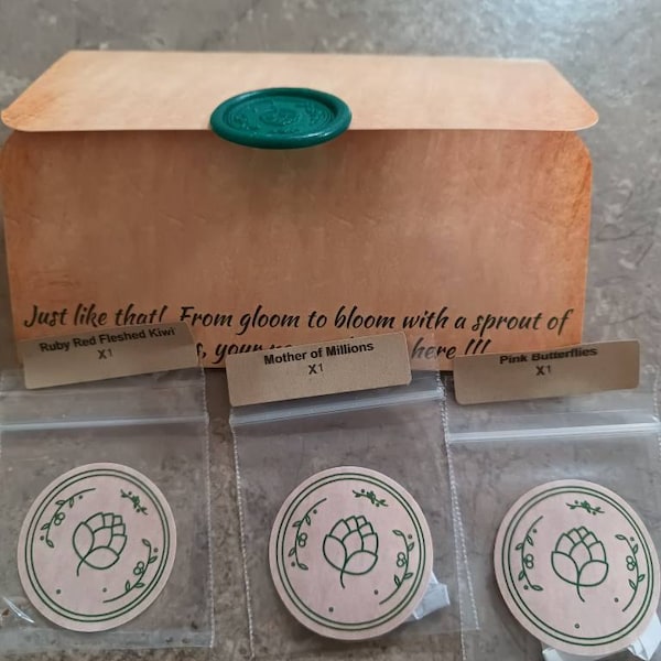 Burning Bush Tree / Eastern Wahoo - Euonymus Atropurpureus - Rare ...