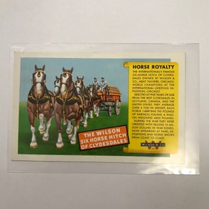 Fun USPS Lion Poem Postcard Happy Mail Poetry Postcard Lion - Etsy