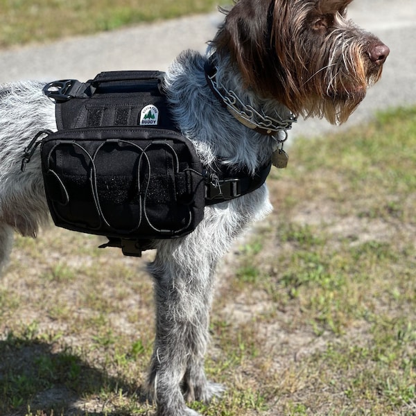 Adventure Buddy Patch for Dogs | Iron-on | Velcro - Etsy