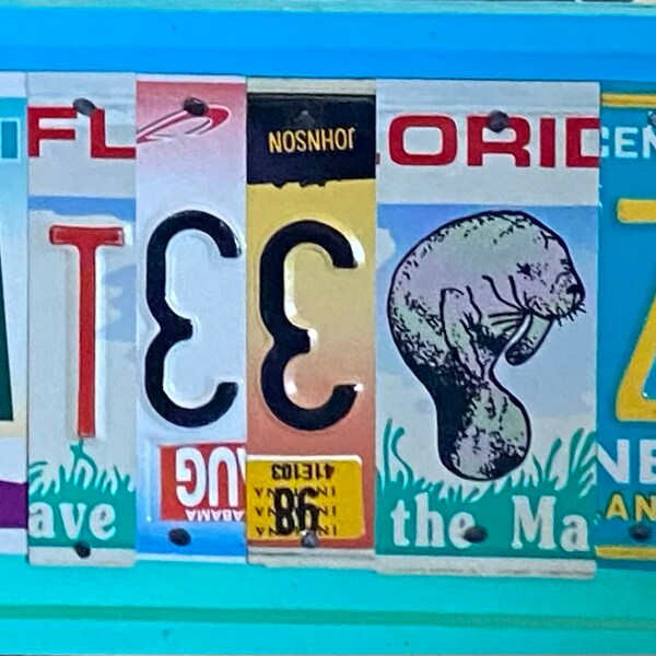 Manatee Sign Art, License Plate Sign Gift, Florida Springs, Colorful ...