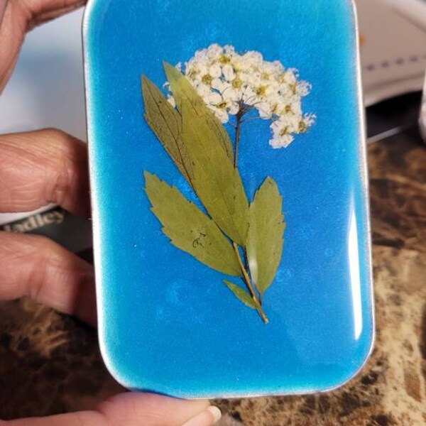 Decorative Tin, Moth, Leaves, Flowers, Jewelry Case, Resin, Real Leaves ...