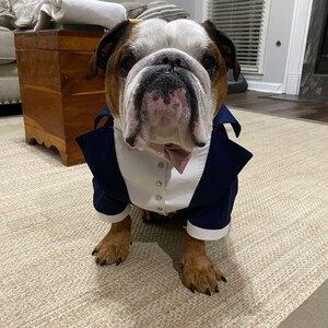 Navy Blue Dog Tuxedo With Blush Bow Tie Dog Wedding Attire Formal Dog Suit English Bulldog ...
