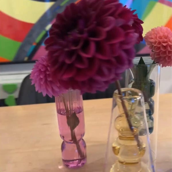 Nordic Glass Vase - Minimalist and Elegant Vase for Stylish Home Decor ...