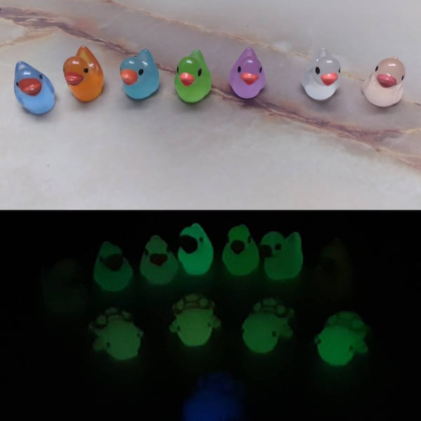 Mixed Glow in the Dark Cute Seal Pup Luminous Charm Resin Fluorescent ...