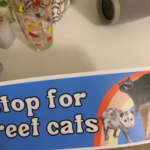 Hot Girls Have IBS Bumper Sticker | Gen Z Funny Pink Cute Car ...