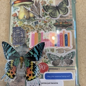 Luna Moth Phone Grip-rare Butterfly Phone Stand-monarch-swallowtail ...