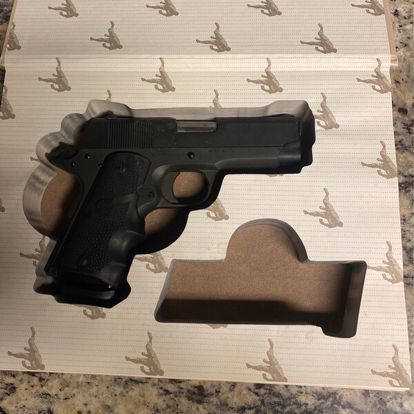 Gun Book Safe for Compact Handguns - Constitution of the United States ...