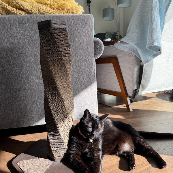 Hexagon Honeycomb Cat Shelves - Stylish Wall-mounted Furniture for Your ...