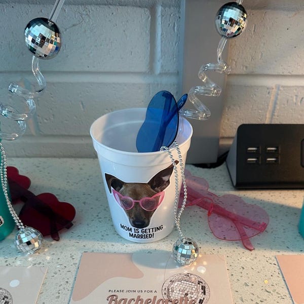 Rave Outfit Women Set 2pc Mesh Butterfly Festival Set High-waisted ...