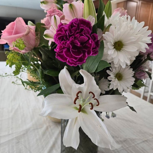 NFL Pipsqueak Green Bay Packers 1 Inch Car Dashboard Buddy Christmas ...