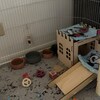 Gideons Hideout Cardboard House for Rabbits Hideout and Chew - Etsy